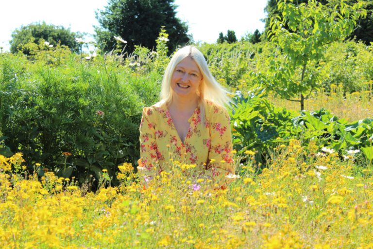 The Colour of Summer, by Victoria Connelly - loopyloulaura